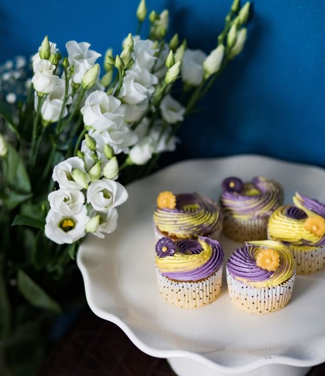 Festivity An Entertainment Category Bootstrap Responsive Web Template | Home :: W3Layouts